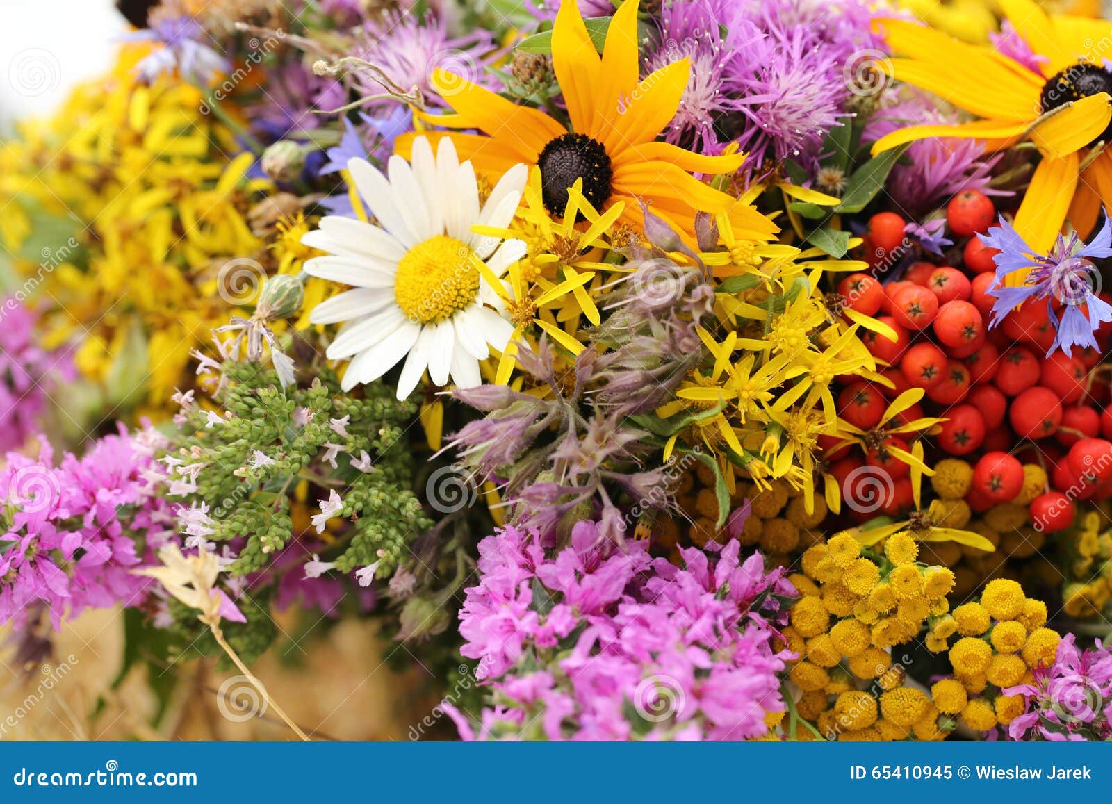 Beautiful Bouquets from Flowers and Herbs Stock Image - Image of ...