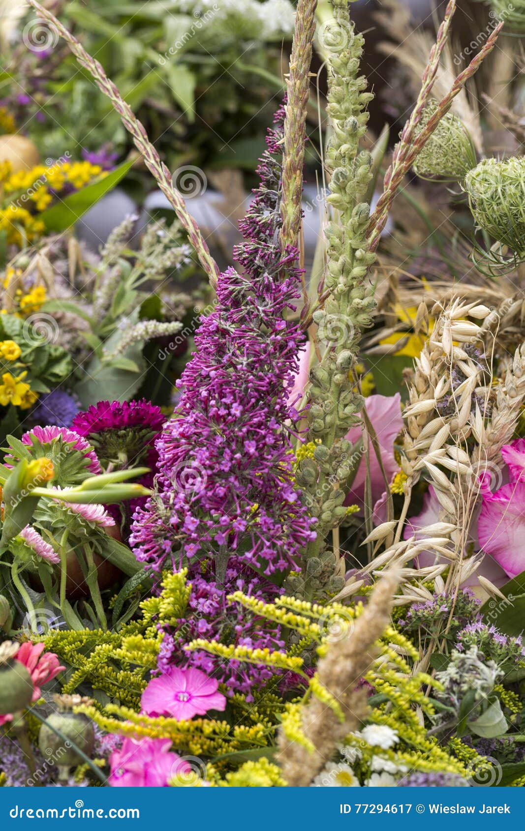 Beautiful Bouquets from Flowers and Herbs Stock Image - Image of aster ...