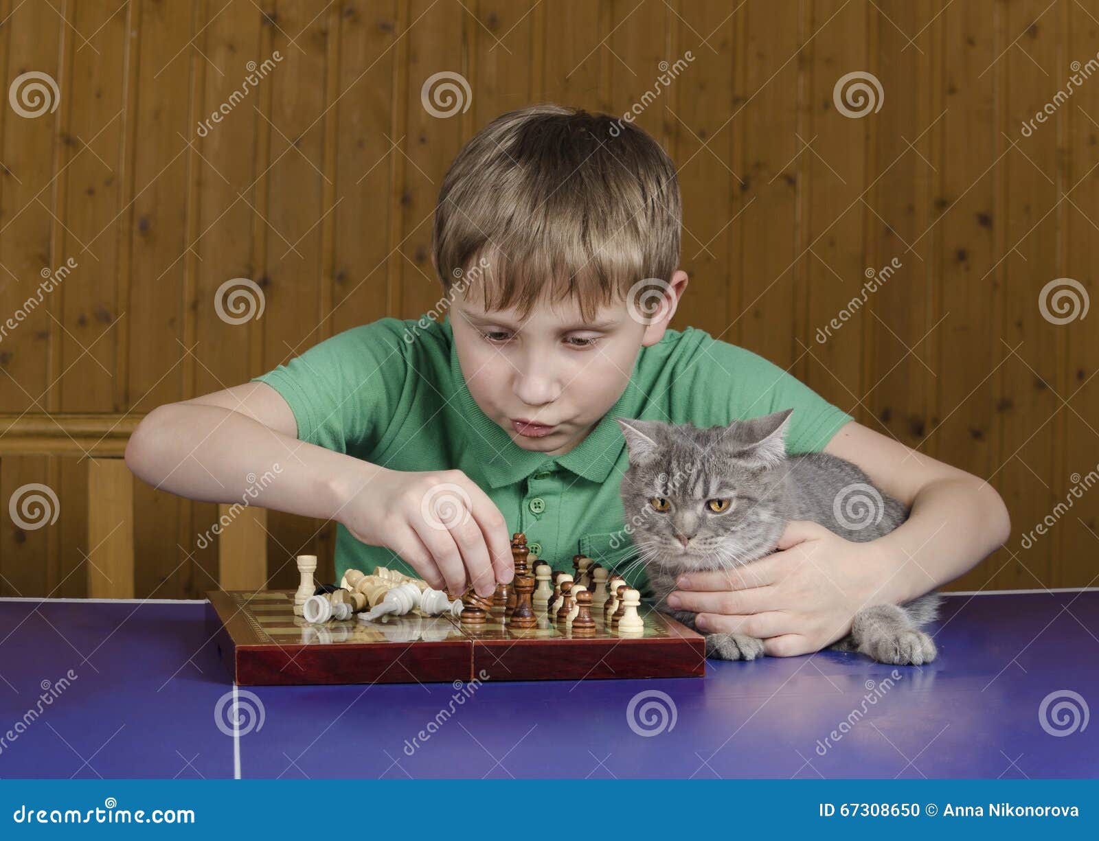 Beautiful Boy Playing Chess Stock Photo - Image of board, look: 67308650