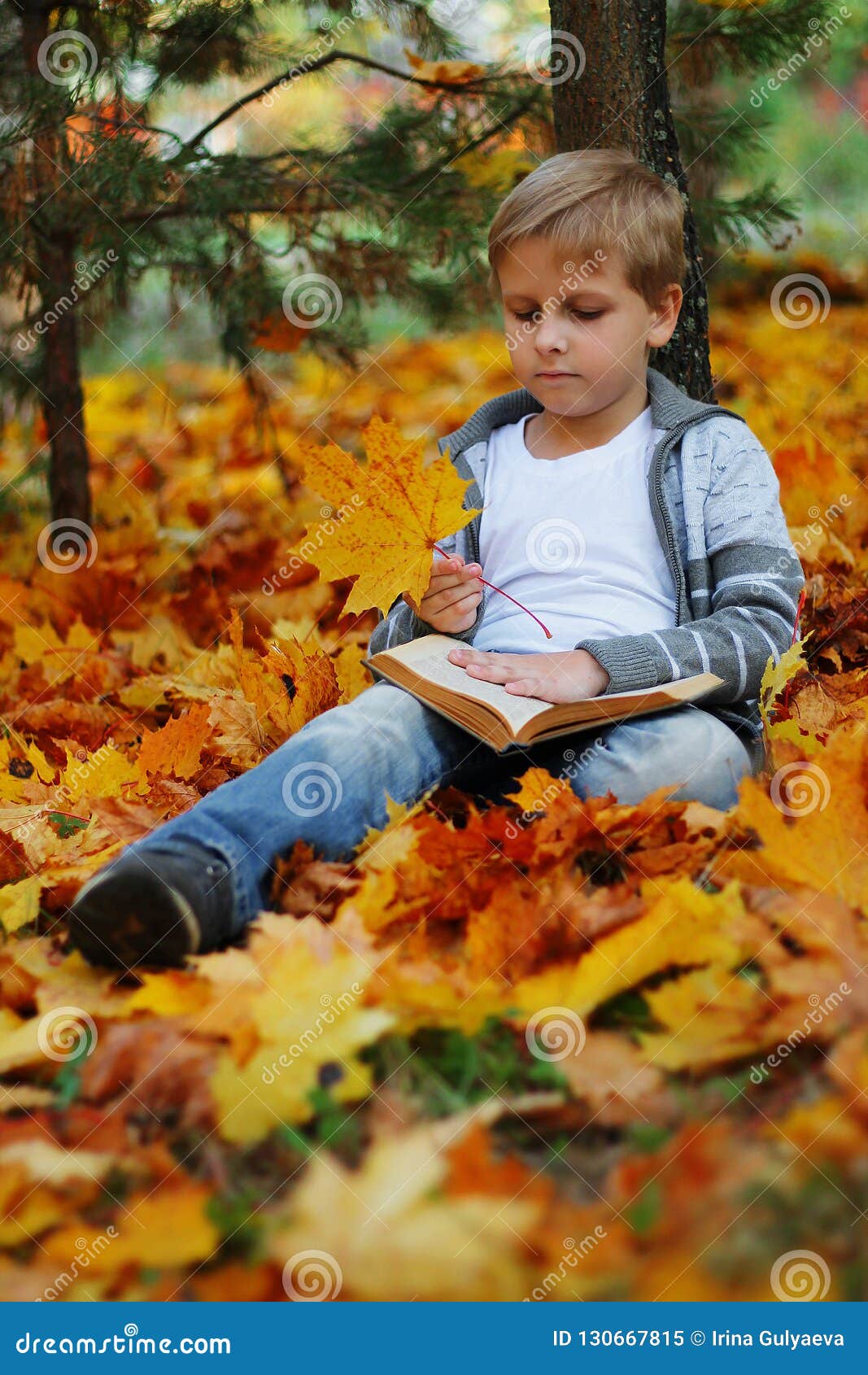 Beautiful Boy Sitting Under a Maple Tree Stock Image - Image of outdoor ...