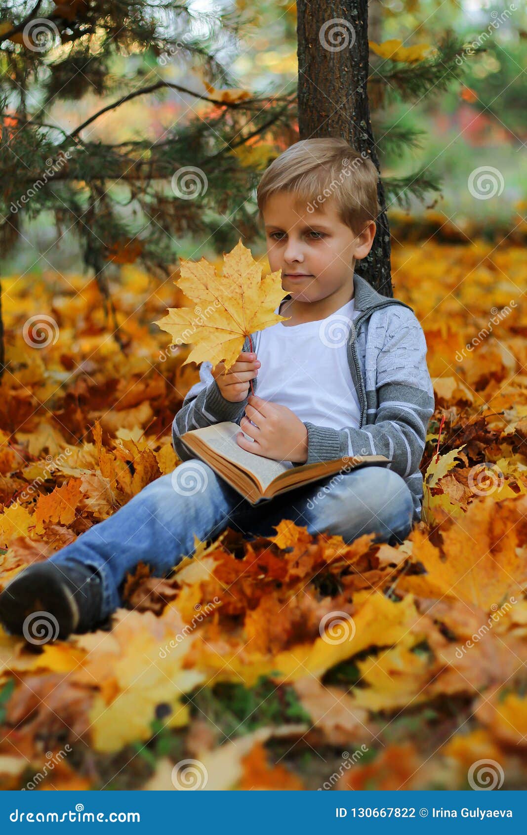 Beautiful Boy Sitting Under a Maple Tree Stock Photo - Image of ...