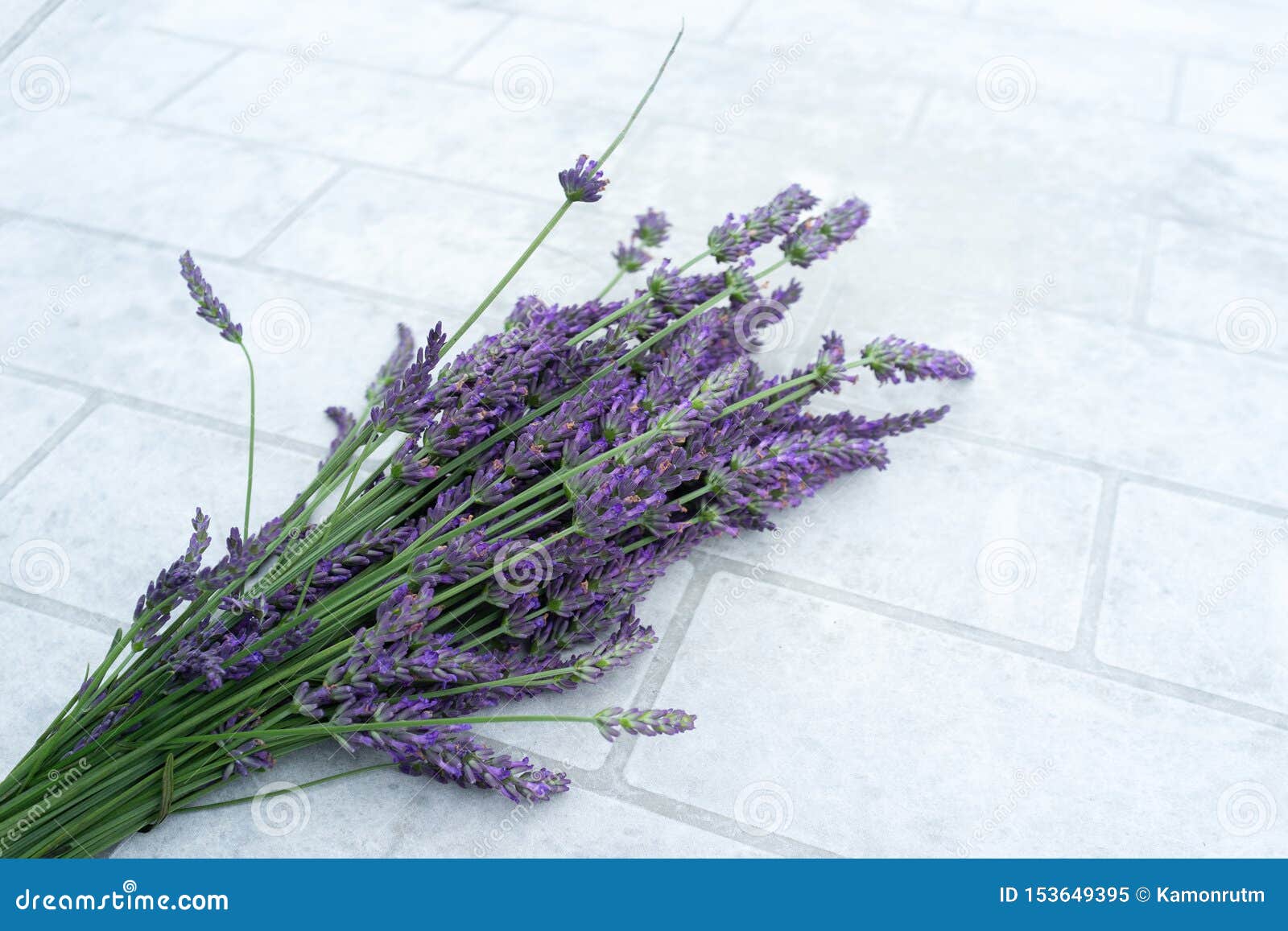 Beautiful of Branch of Lavender Flower Stock Image - Image of france ...