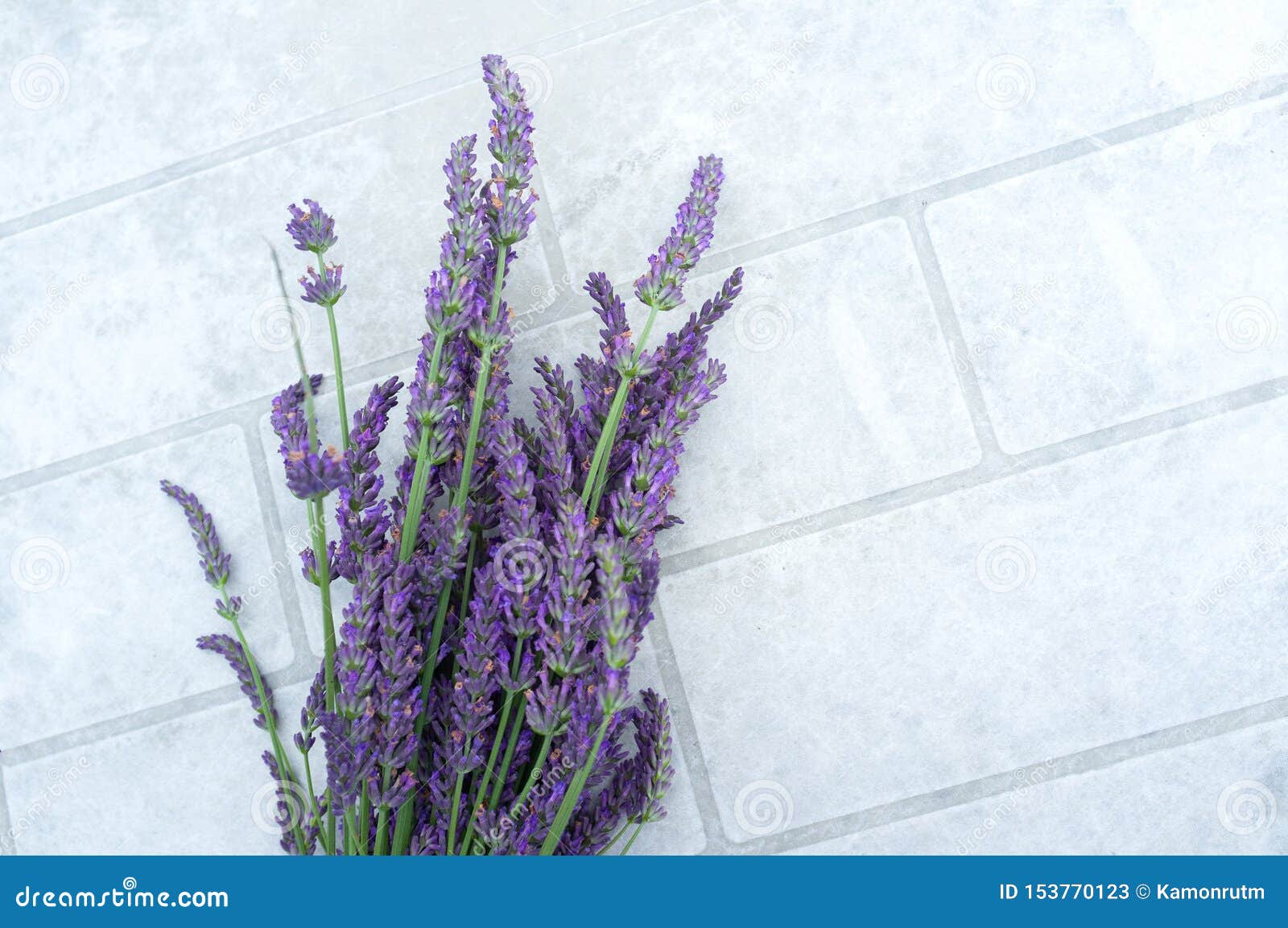 Beautiful of Branch of Lavender Flower Stock Image - Image of field ...