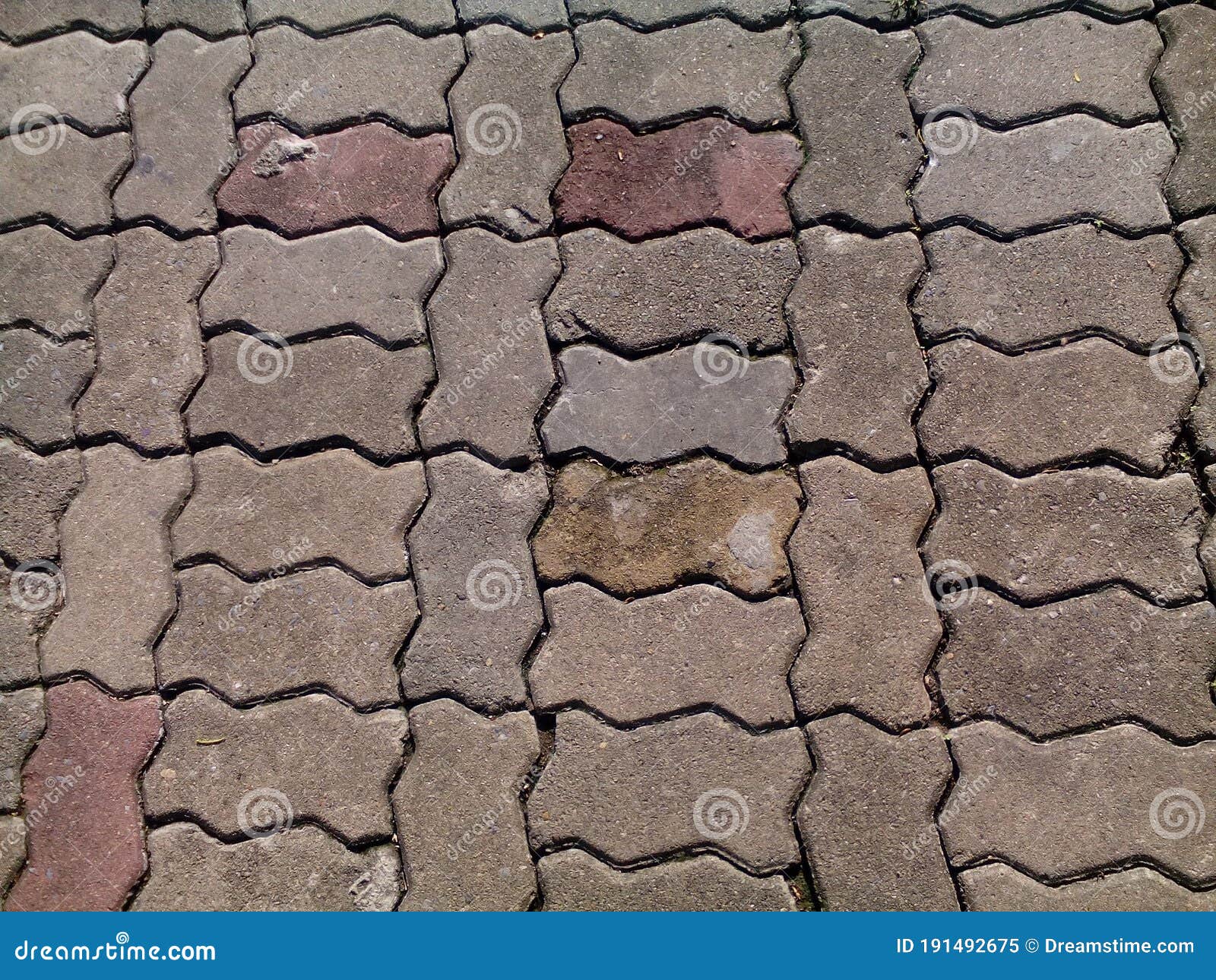 Beautiful Brick Paved Road. Stock Image - Image of morning, street ...