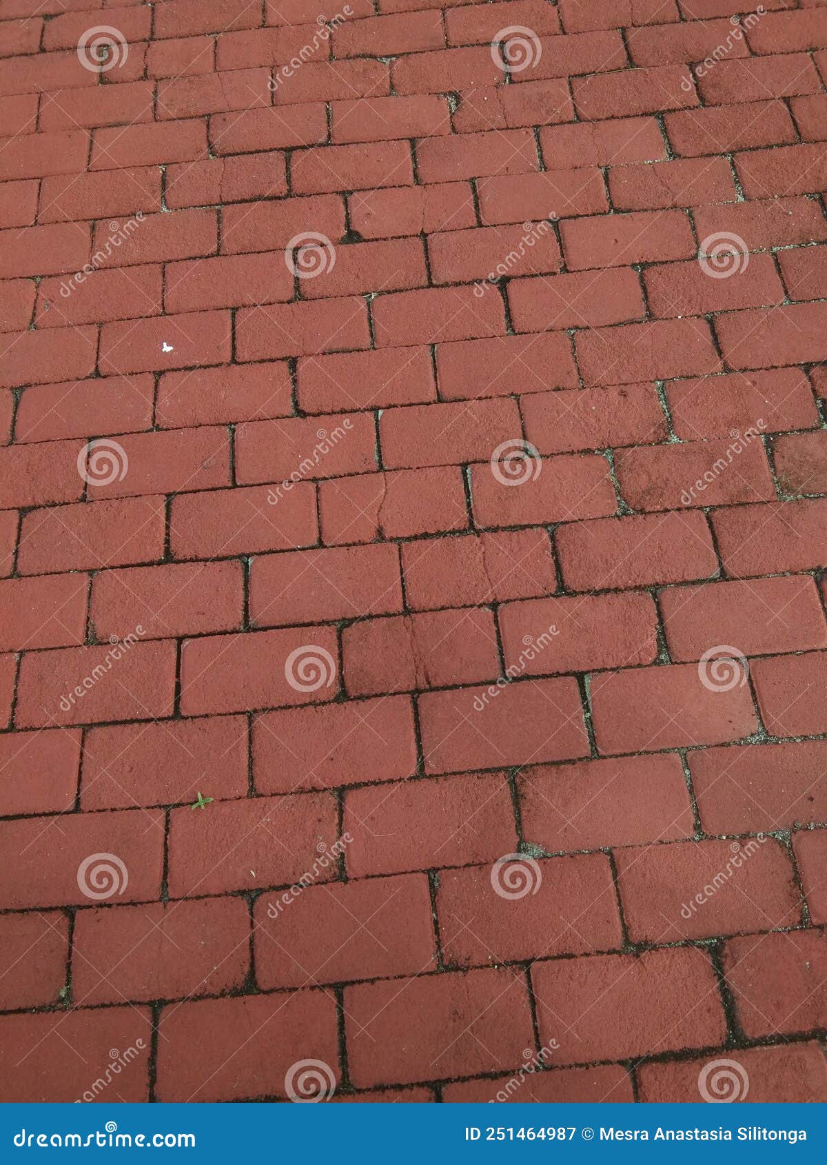 Beautiful Bricks Suitable As a Background Stock Image - Image of floor ...
