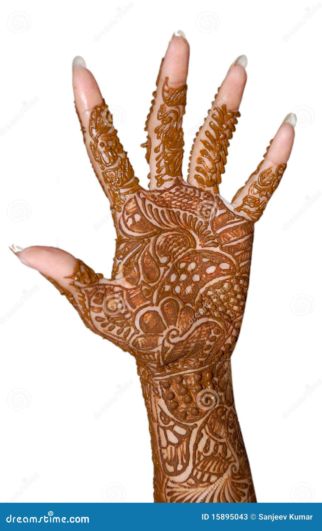 Beautiful bridal hand stock image. Image of unique, tradition - 15895043