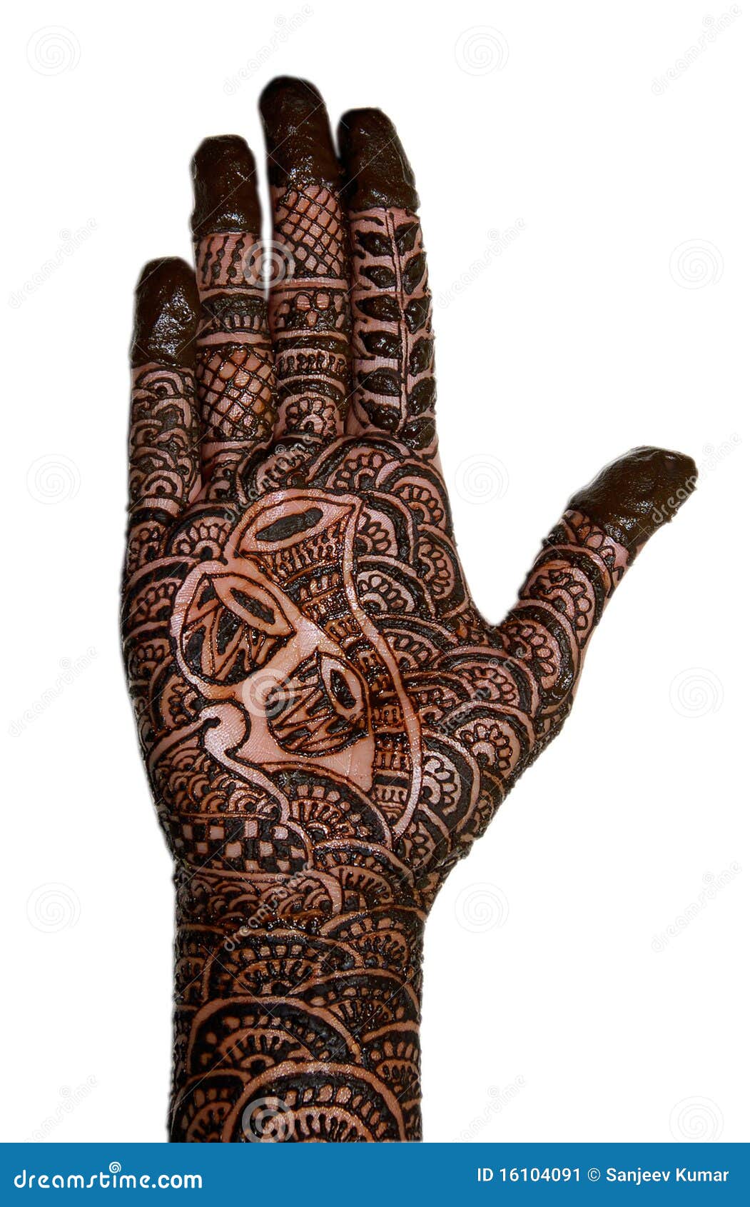 Beautiful bridal hand stock image. Image of design, hand - 16104091