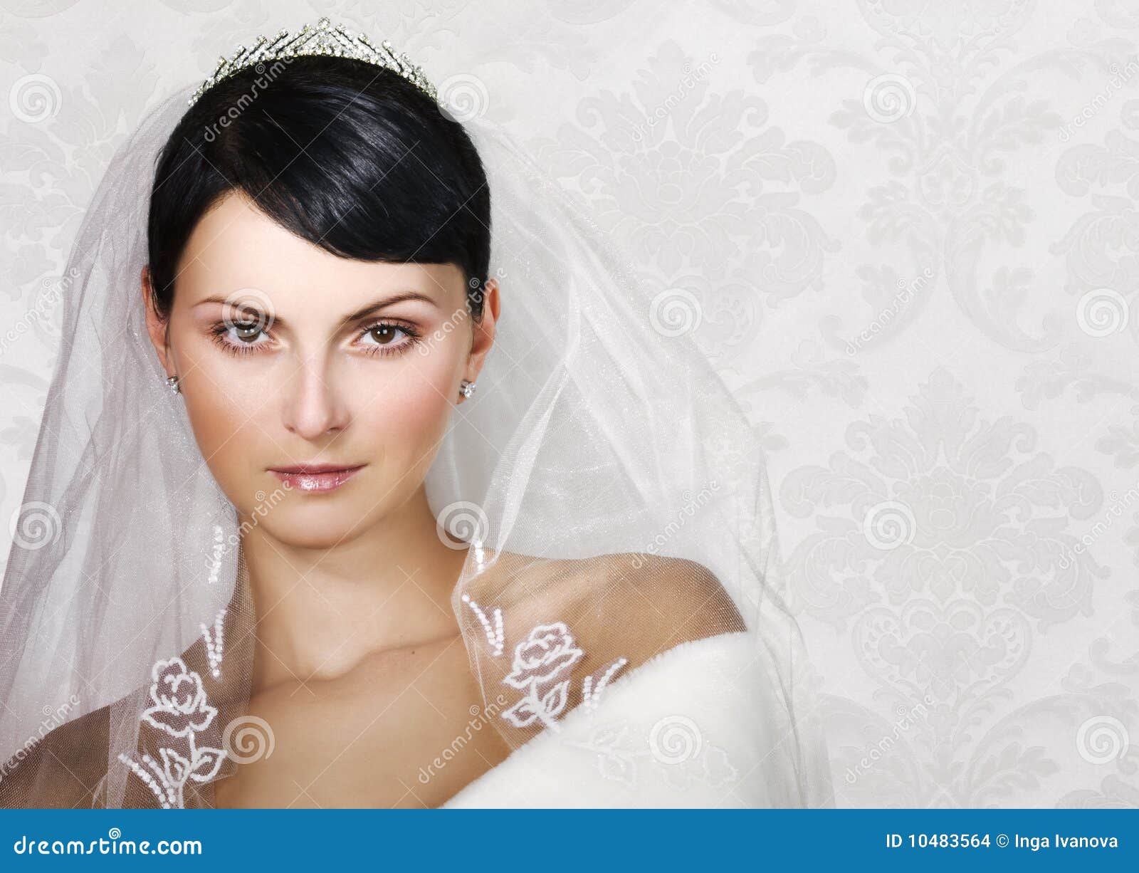 Beautiful bride stock photo. Image of bride, portrait - 10483564