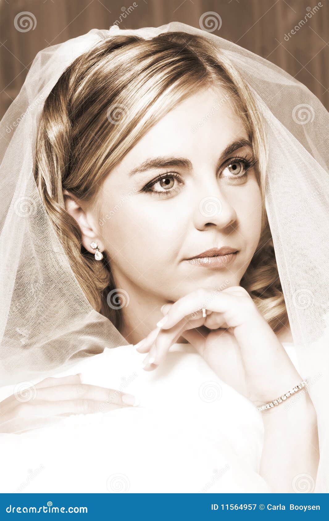 Beautiful Bride stock image. Image of cute, fashion, female - 11564957