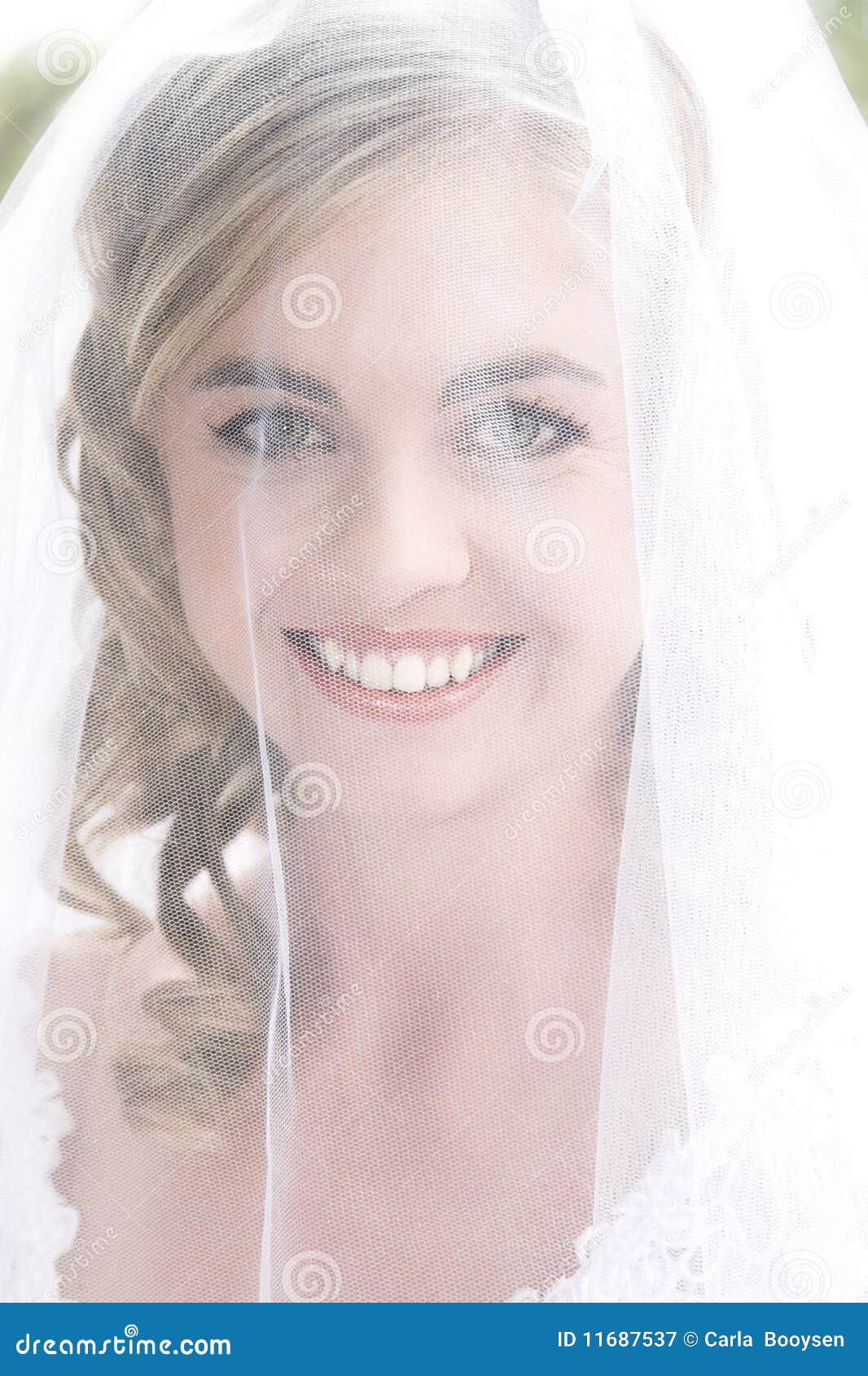 Beautiful Bride stock image. Image of happy, mature, bride - 11687537