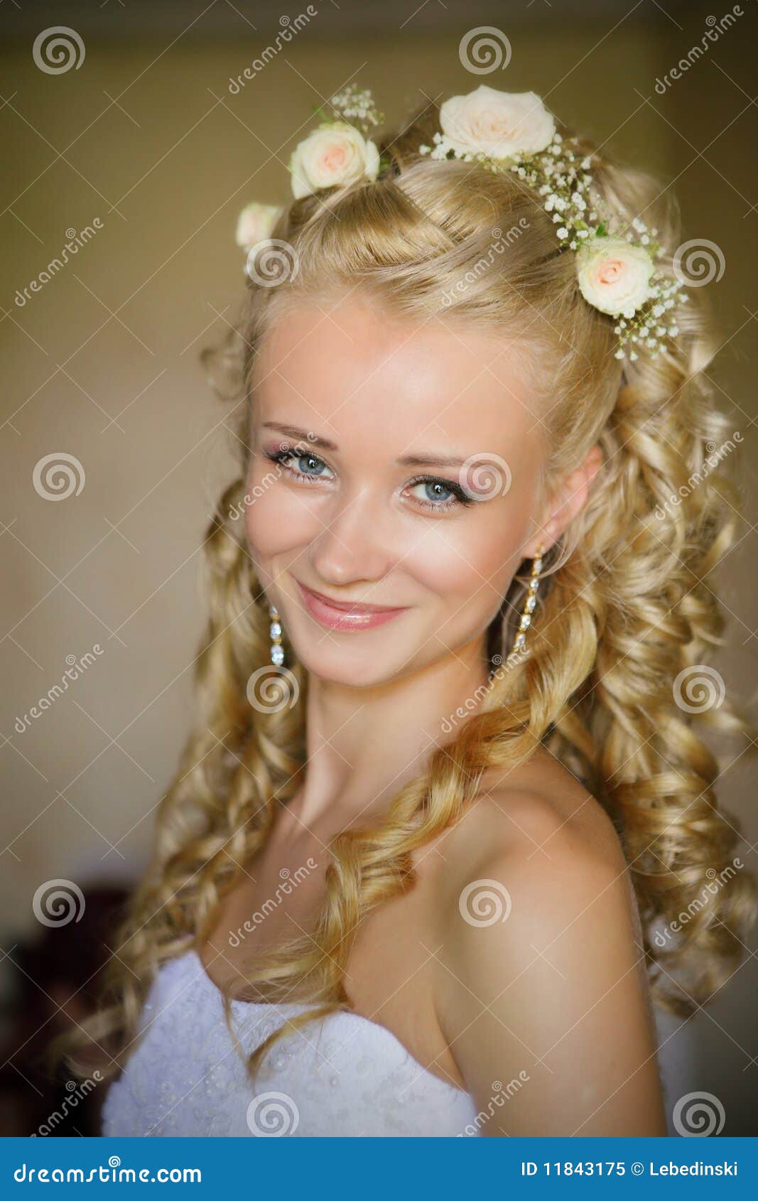 Beautiful bride stock image. Image of beauty, emotions - 11843175