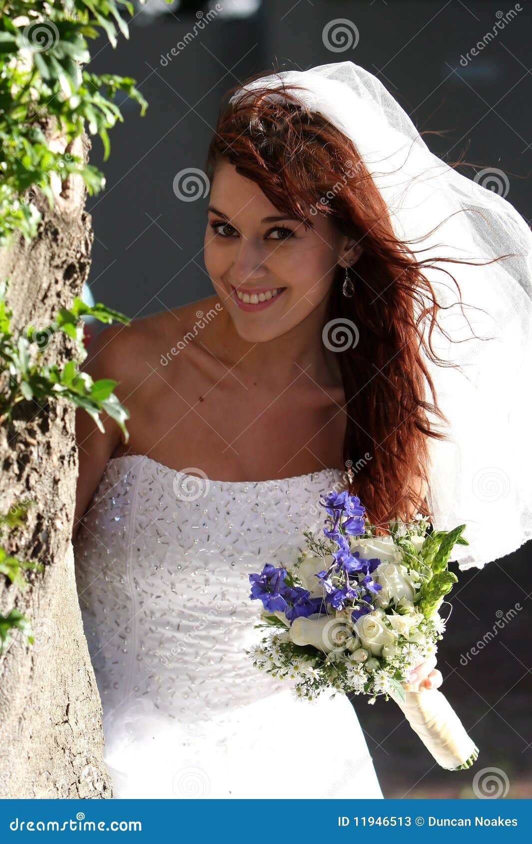 Beautiful Bride stock image. Image of human, beautiful - 11946513