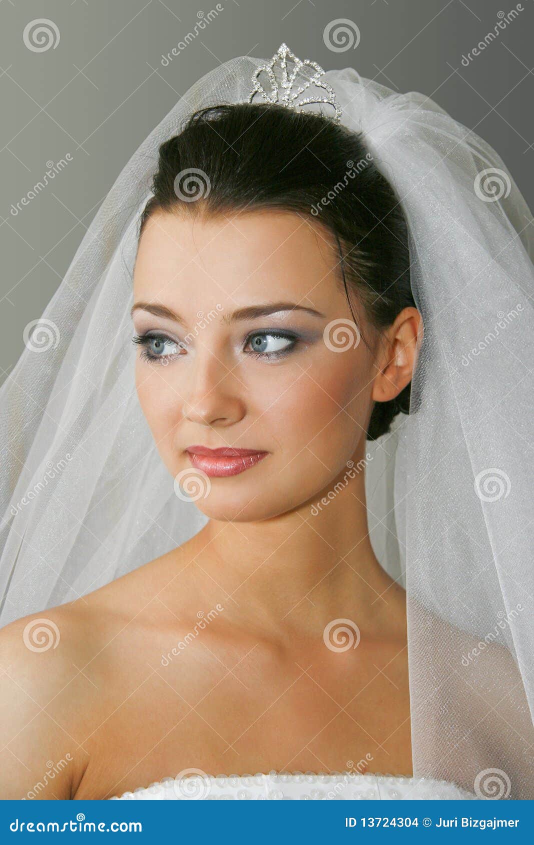 Beautiful bride stock photo. Image of wedding, bride - 13724304