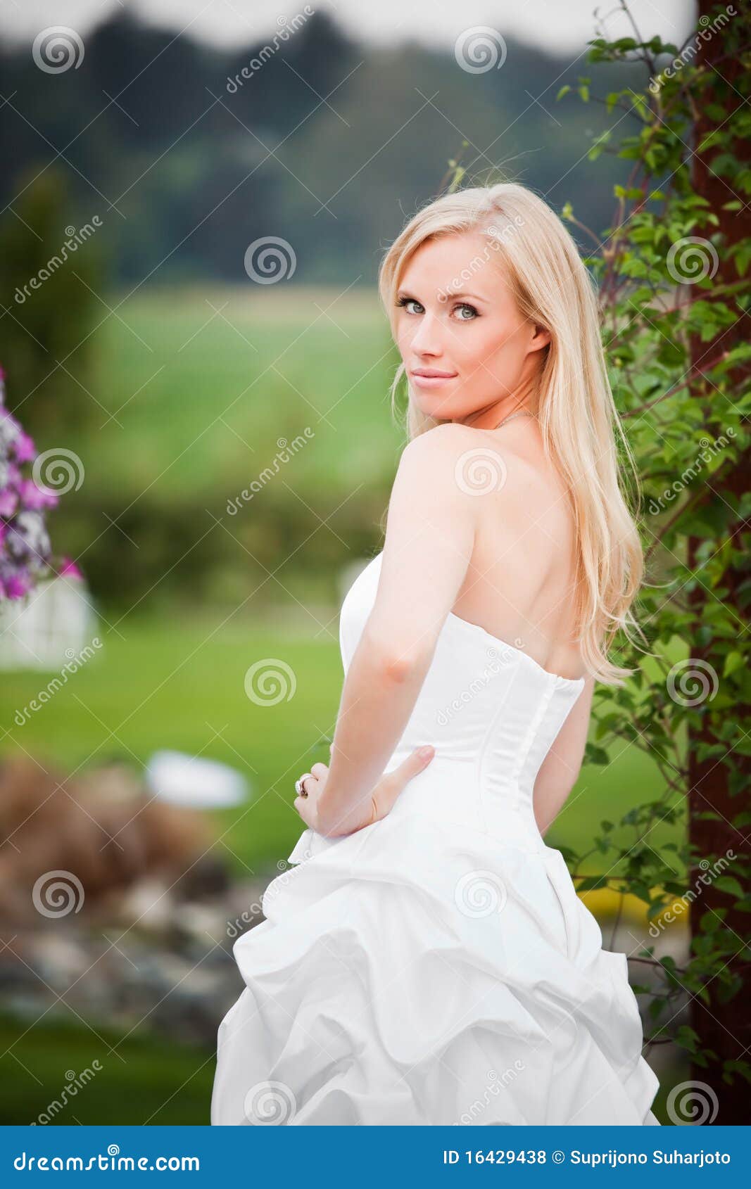 Beautiful bride stock photo. Image of portrait, beauty - 16429438