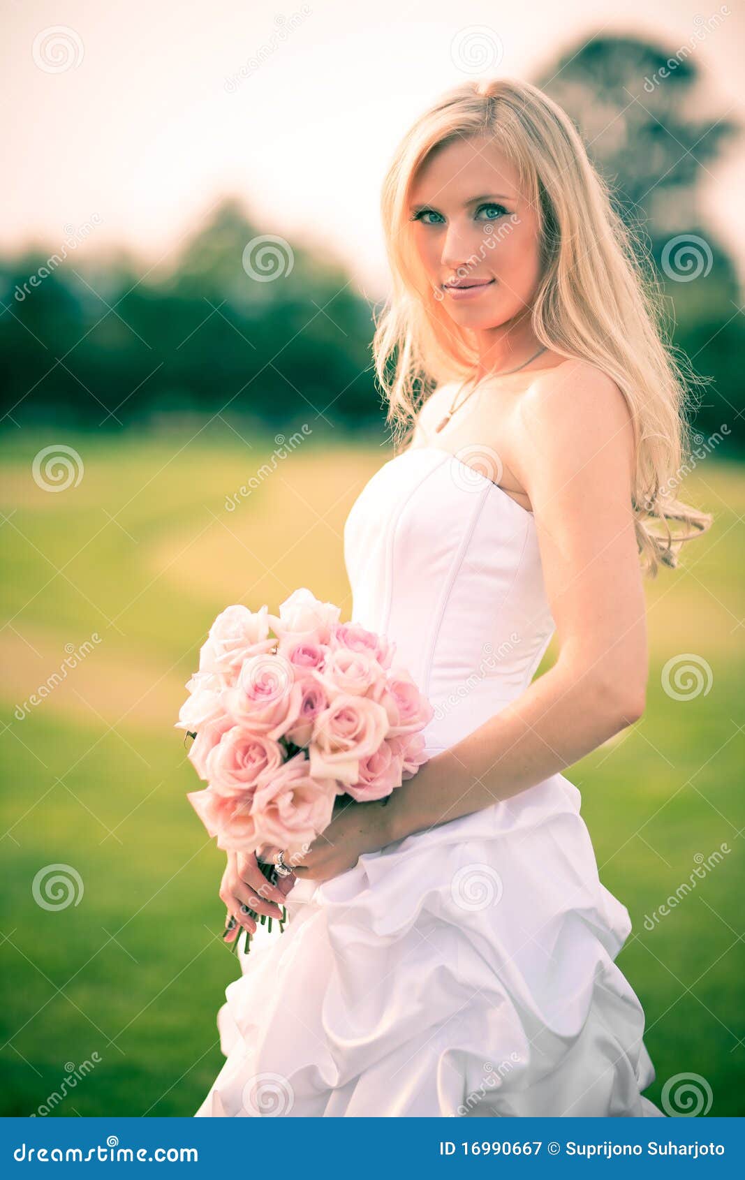 Beautiful bride stock image. Image of outside, happiness - 16990667
