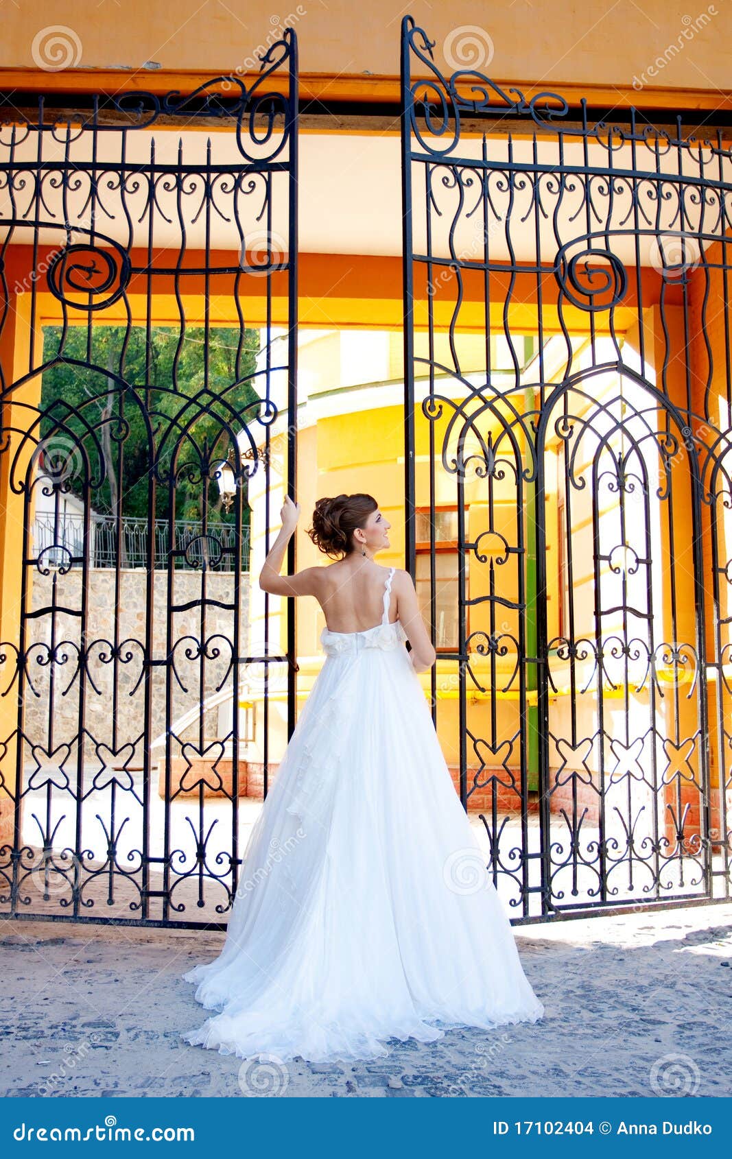 Beautiful bride stock photo. Image of female, luxury - 17102404