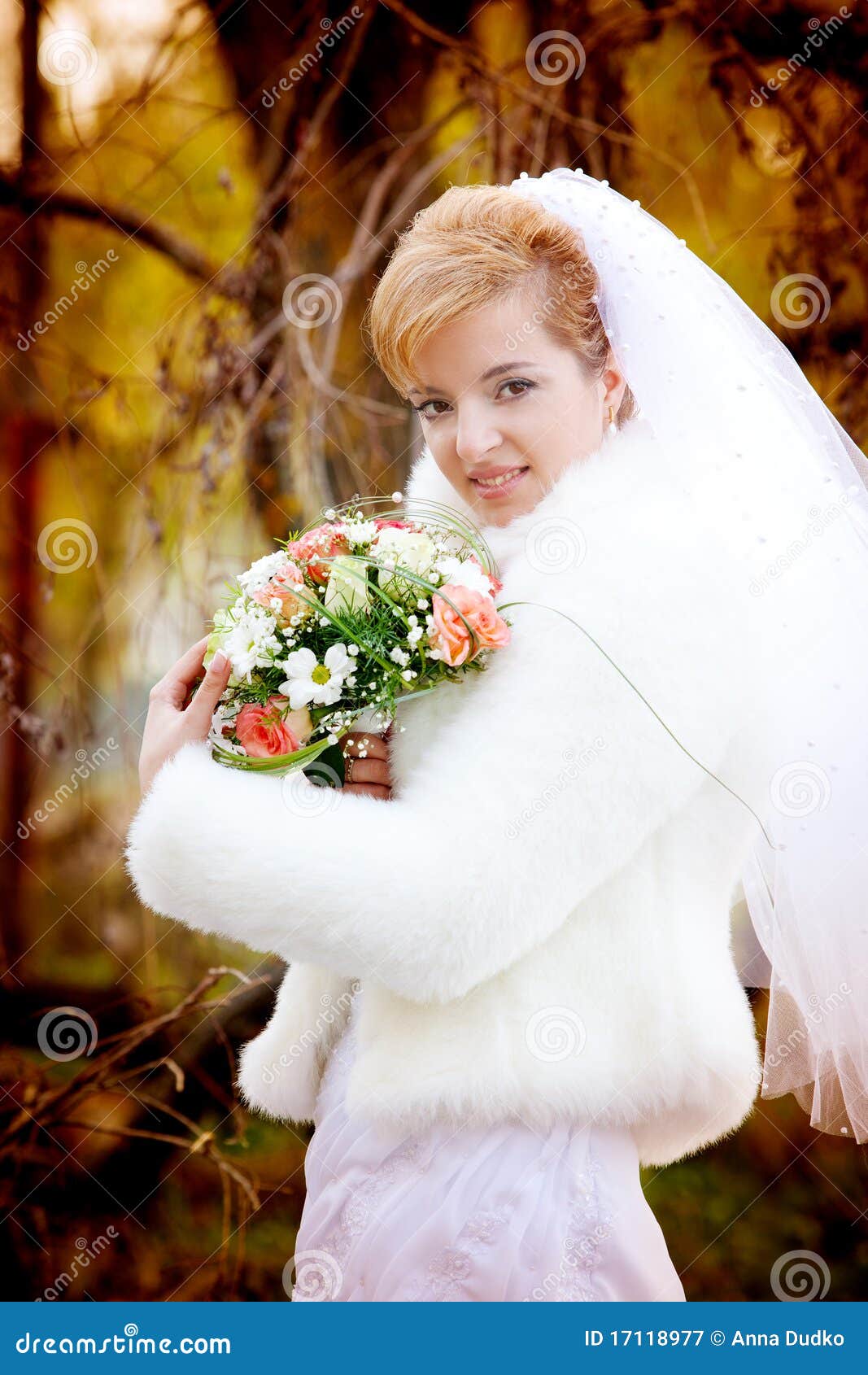 Beautiful bride stock image. Image of cute, elegance - 17118977