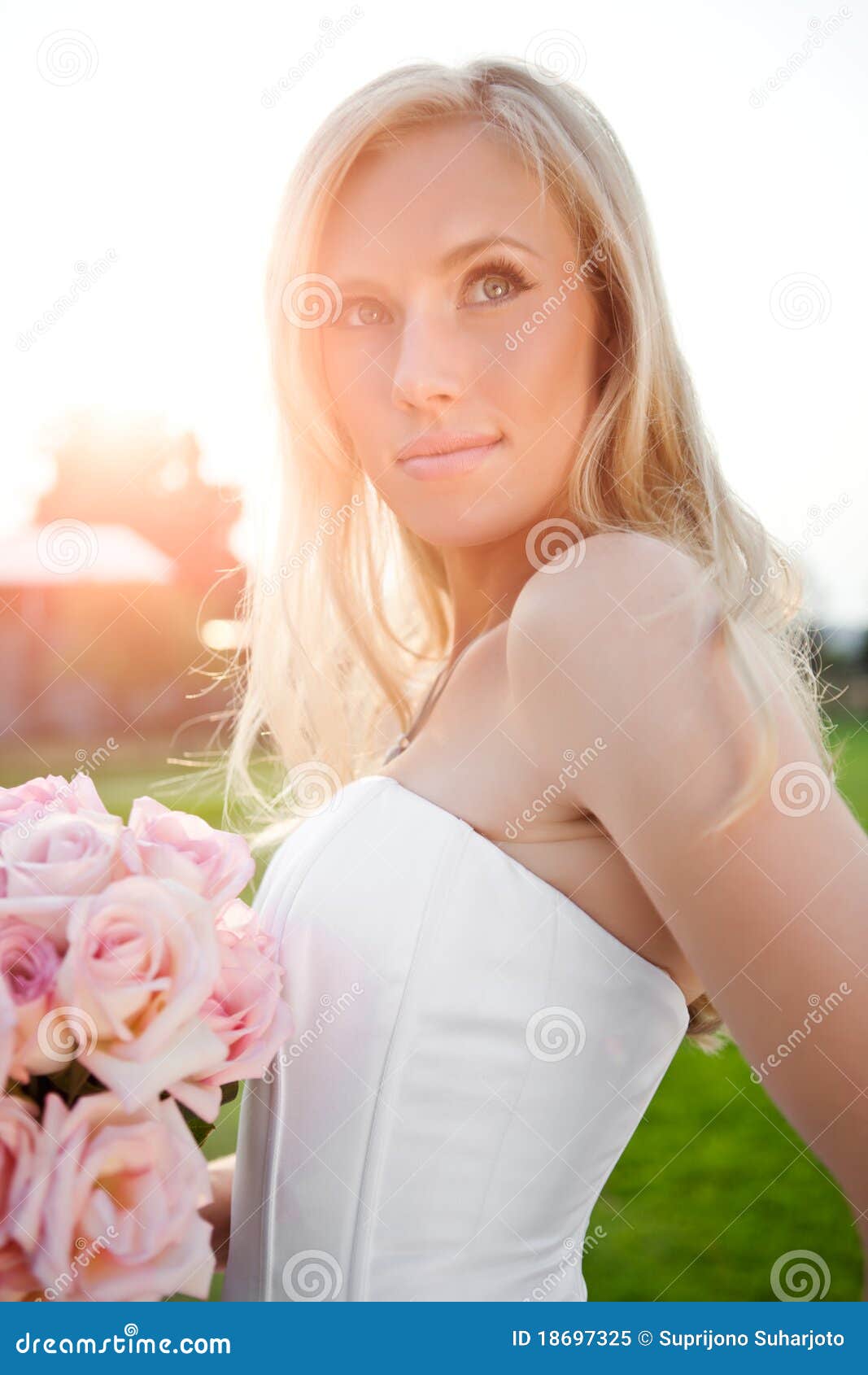 Beautiful bride stock image. Image of dress, happiness - 18697325