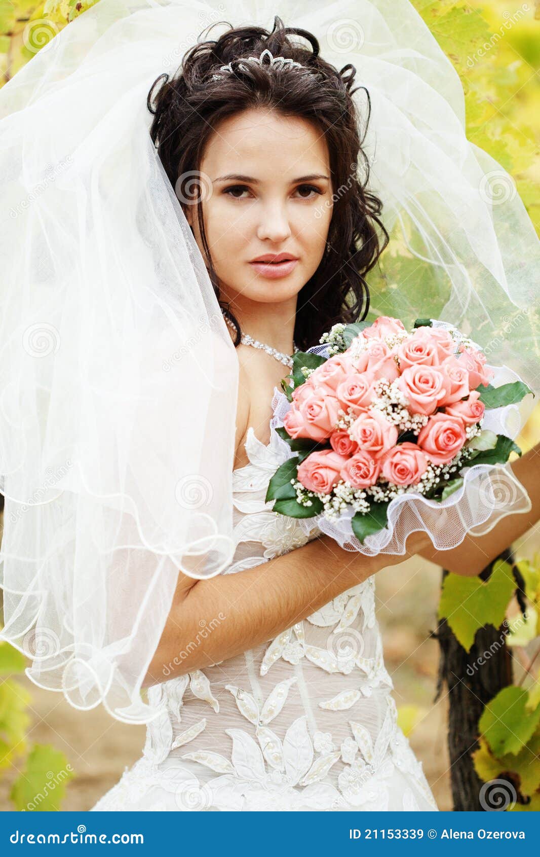 Beautiful bride stock image. Image of bouquet, bride - 21153339