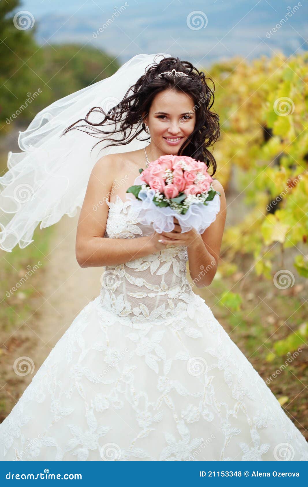 Beautiful bride stock photo. Image of beautiful, fall - 21153348