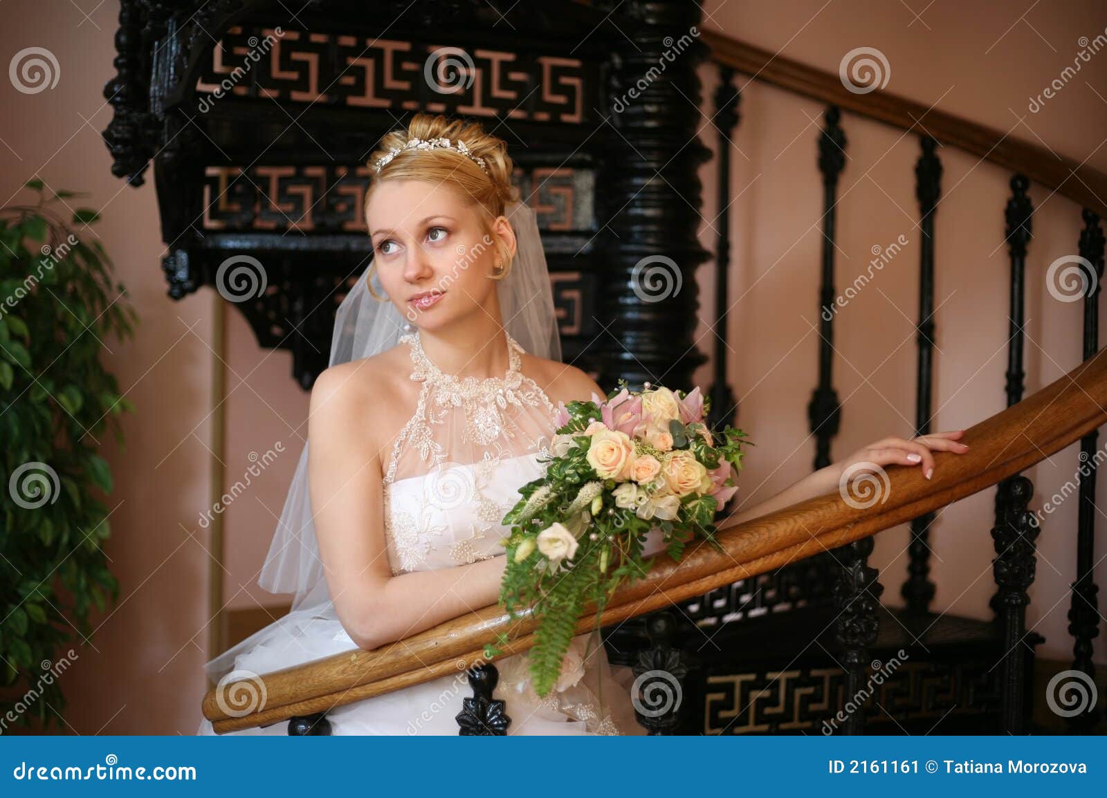 Beautiful bride stock image. Image of wedding, bride, gown - 2161161