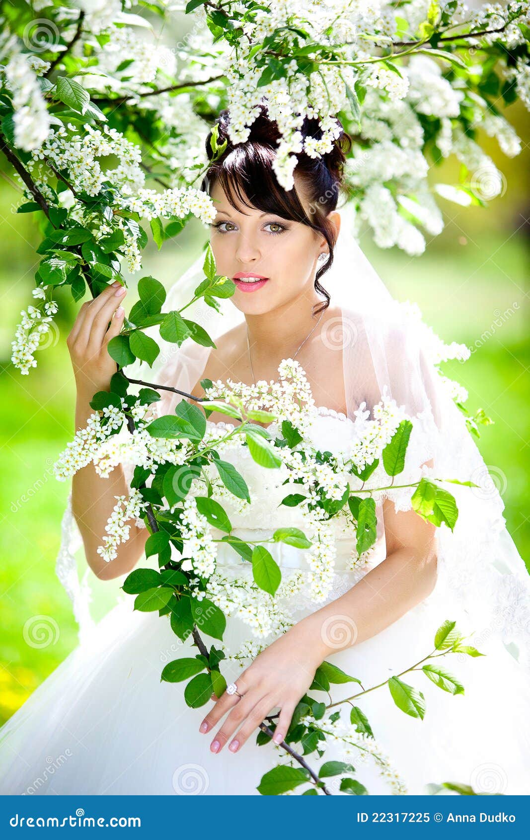 Beautiful bride stock image. Image of luxury, marry, model - 22317225