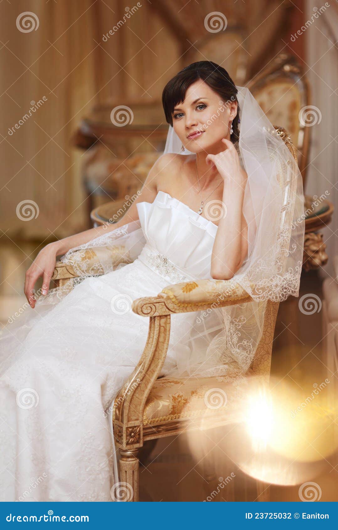 Beautiful Bride stock photo. Image of beauty, beautiful - 23725032