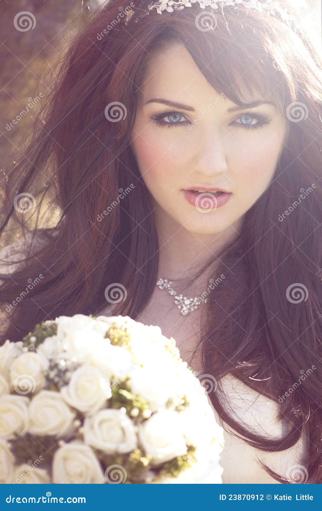 Beautiful bride stock photo. Image of sunny, outside - 23870912