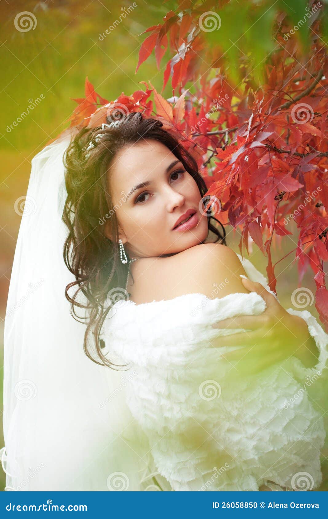 Beautiful bride stock photo. Image of gorgeous, cute - 26058850