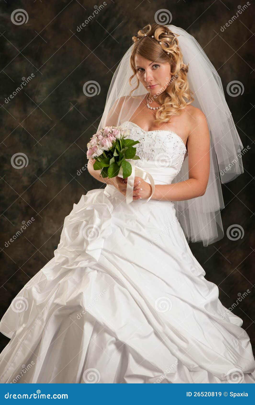 Beautiful bride stock image. Image of stylish, veil, model - 26520819