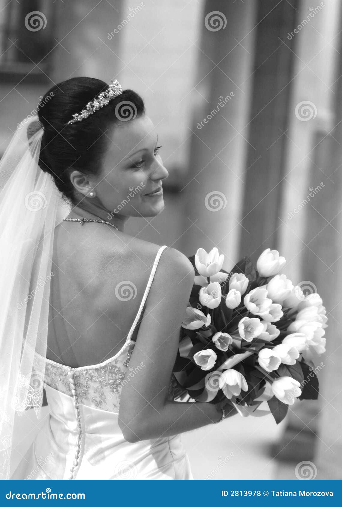Beautiful bride stock photo. Image of gown, beauty, bride - 2813978