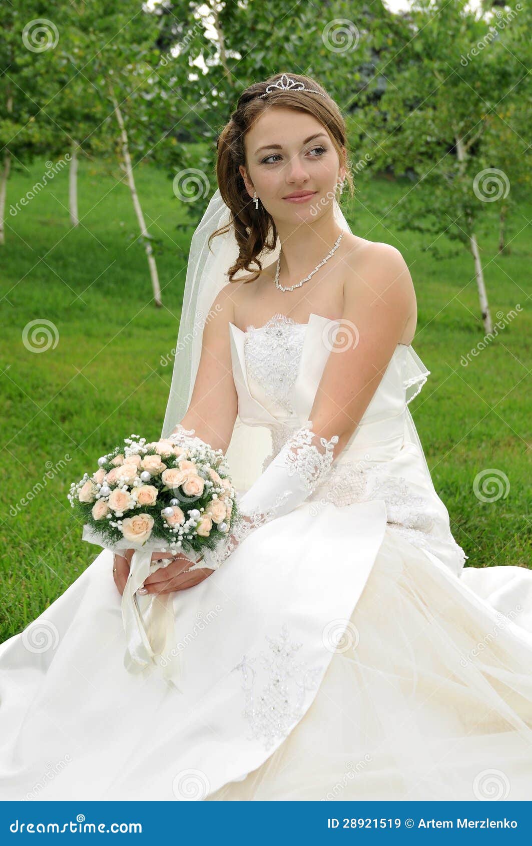 Beautiful Bride stock image. Image of happy, long, caucasian - 28921519