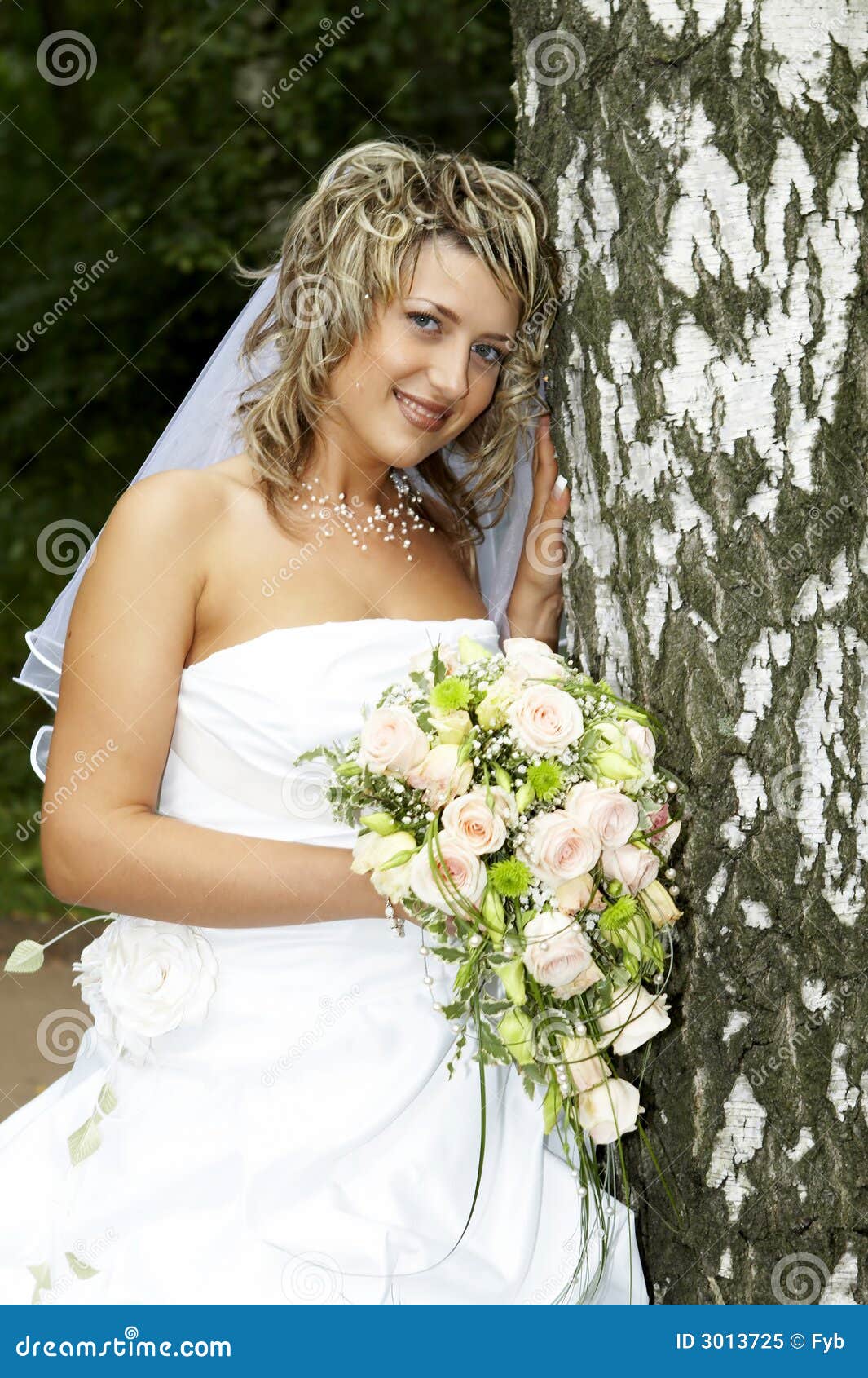Beautiful bride stock image. Image of passionate, marriage - 3013725
