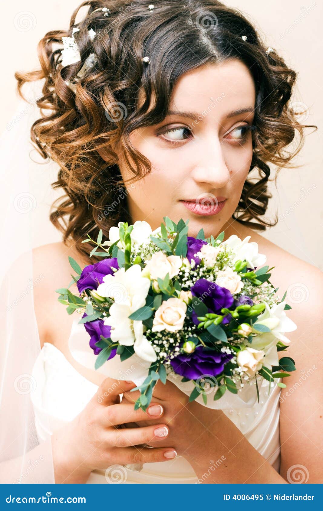 Beautiful bride stock image. Image of beauty, marriage - 4006495