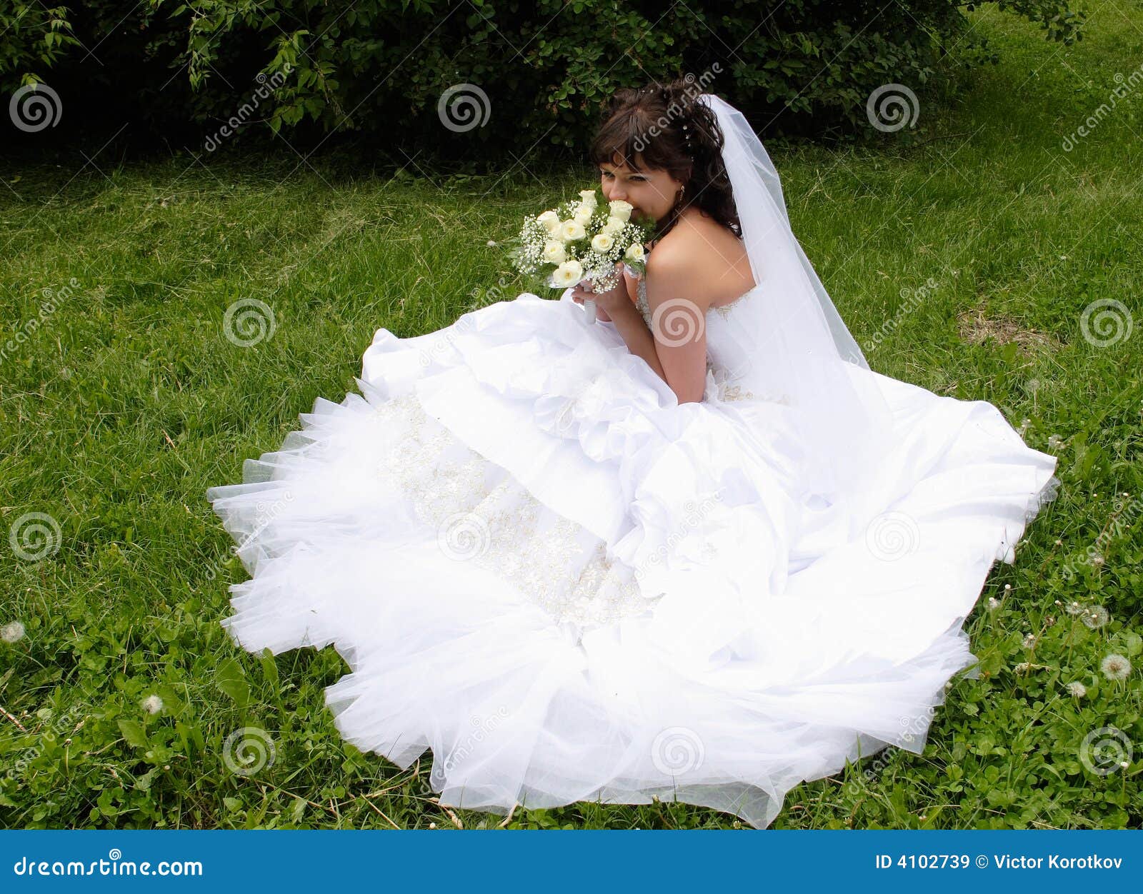 Beautiful bride stock image. Image of happiness, dreams - 4102739
