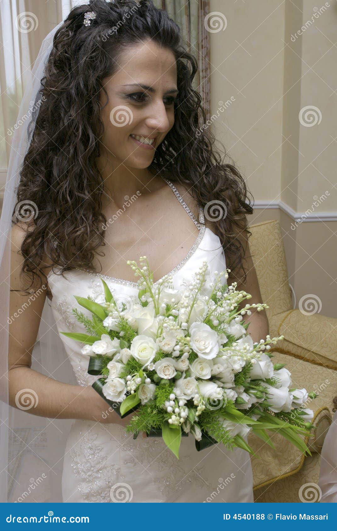 Beautiful bride stock photo. Image of happiness, newlywed - 4540188