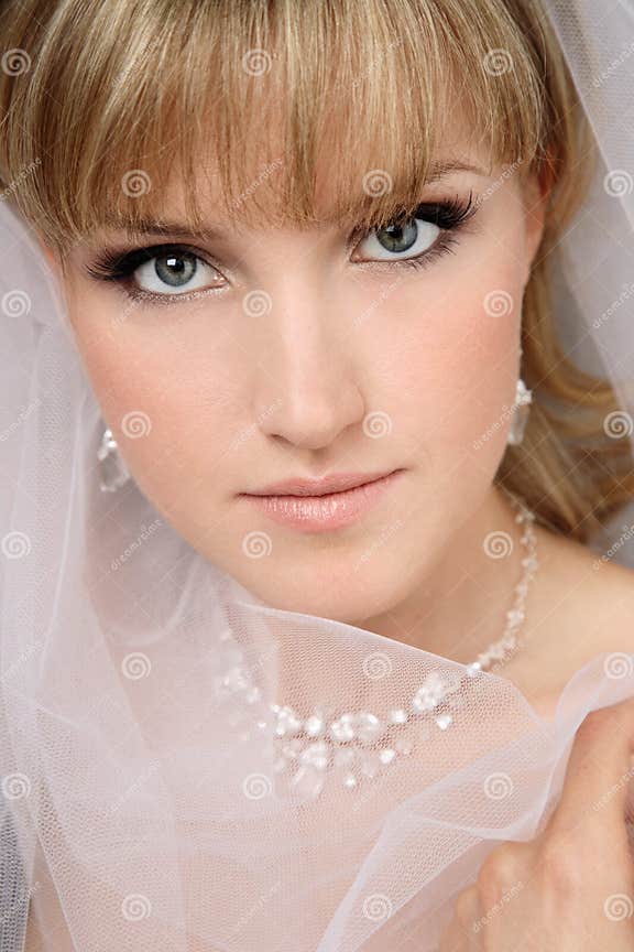 Beautiful bride stock image. Image of fresh, studio, portrait - 7084115