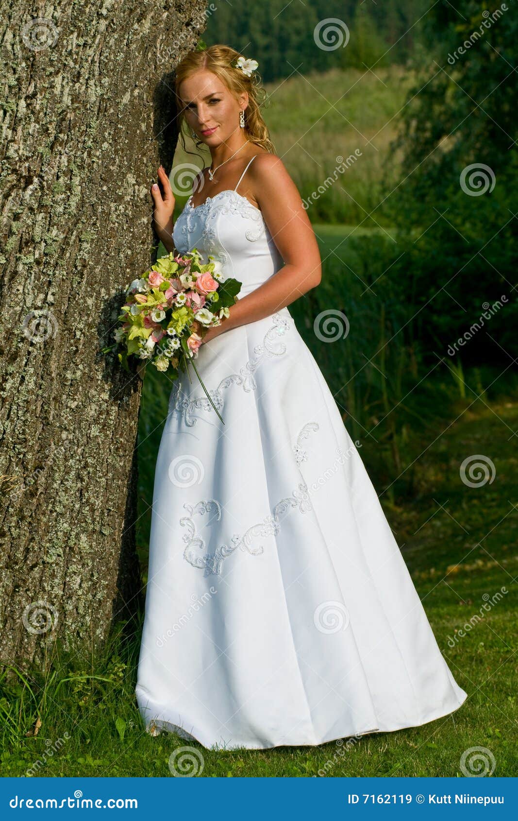 Beautiful Bride stock image. Image of female, bridal, outdoor - 7162119