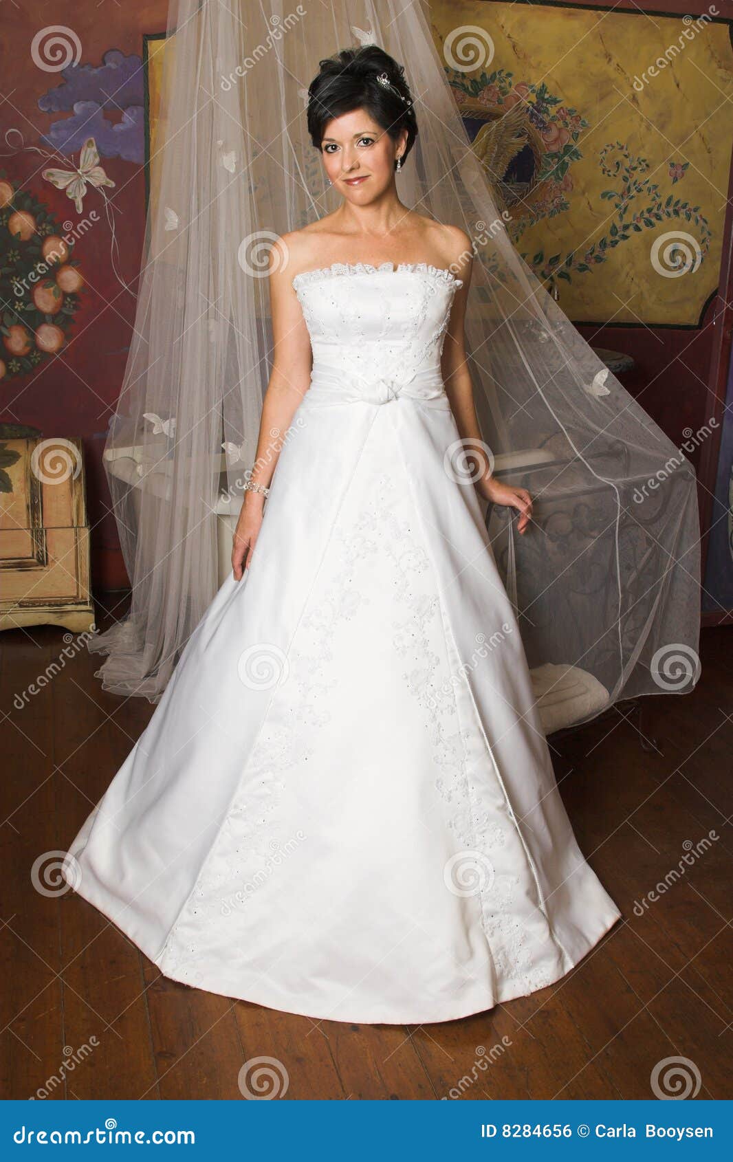 Beautiful Bride stock photo. Image of happy, pose, attractive - 8284656