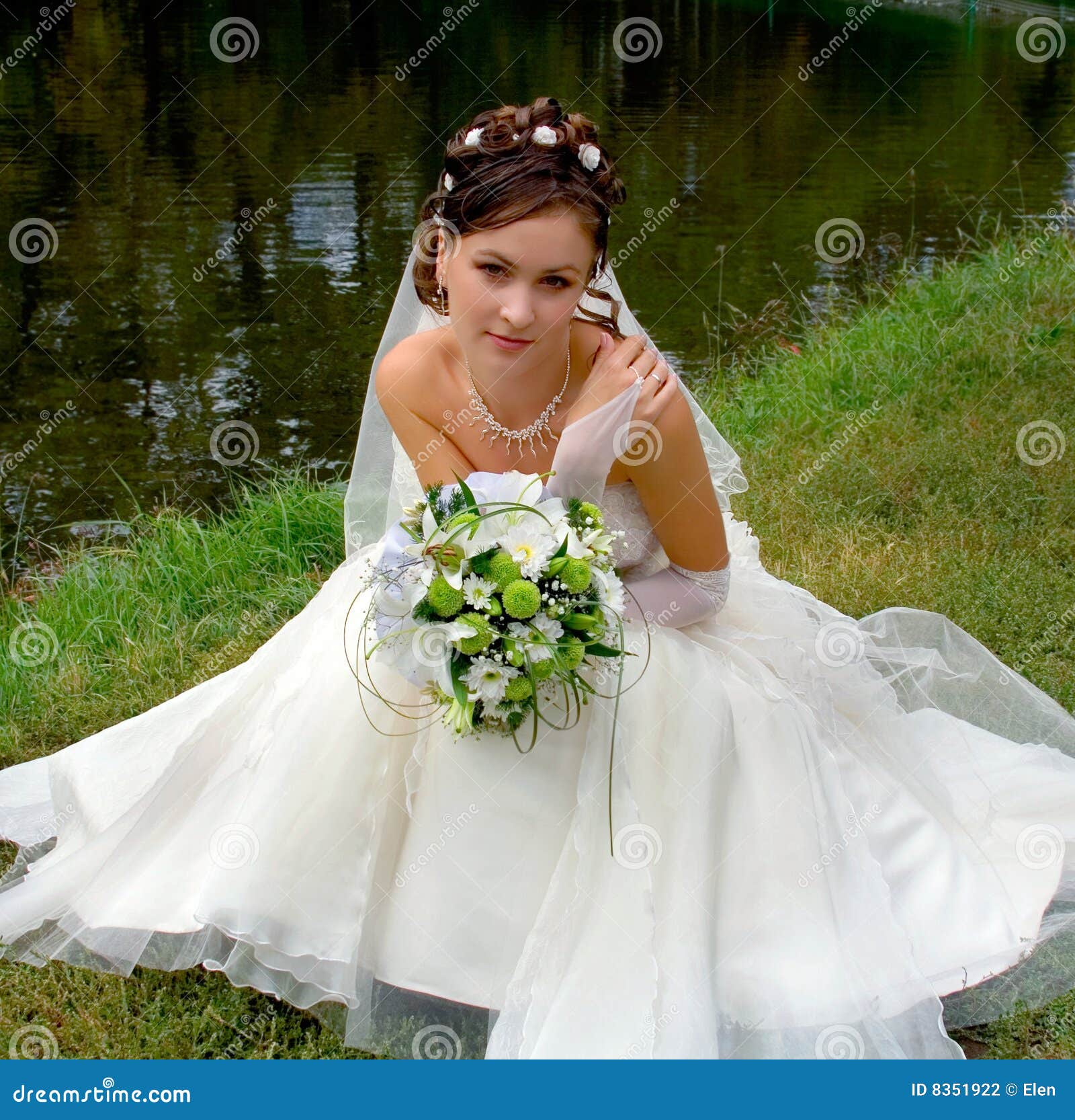 Beautiful bride stock photo. Image of bridegroom, nuptial - 8351922