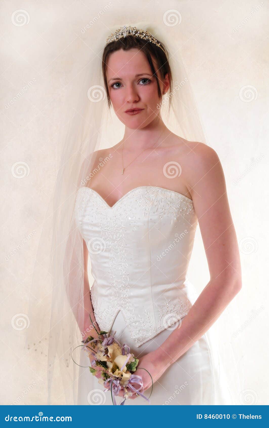 Beautiful Bride stock photo. Image of dazzling, gorgeous - 8460010