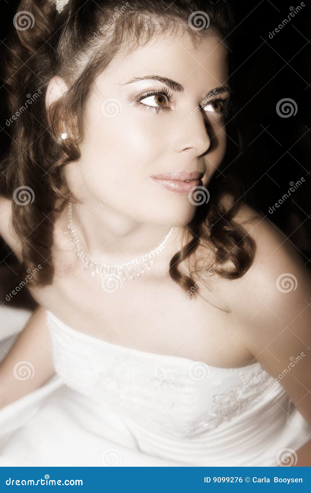 Beautiful Bride stock photo. Image of lace, cute, romantic - 9099276