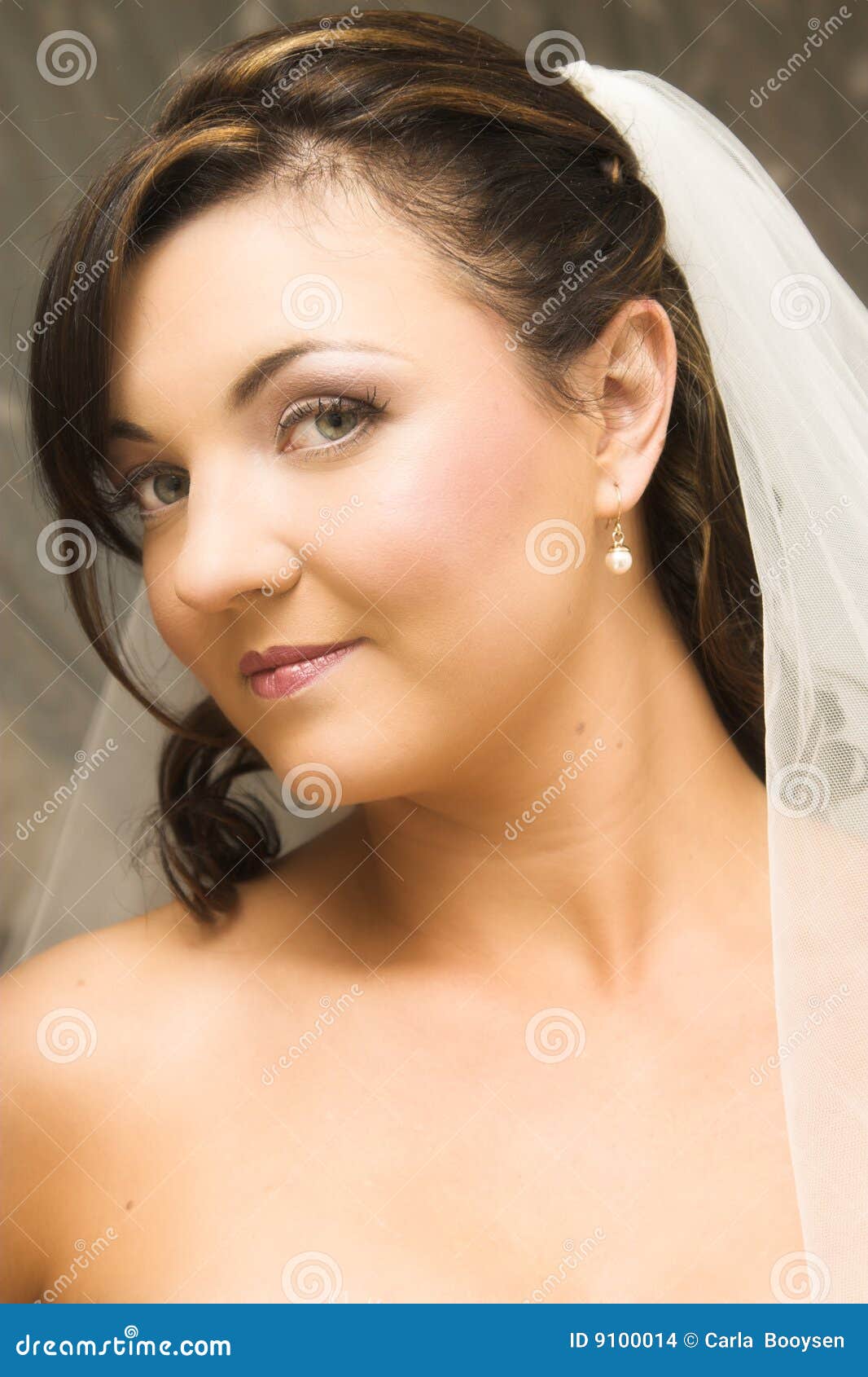 Beautiful Bride stock photo. Image of cute, stylish, style - 9100014