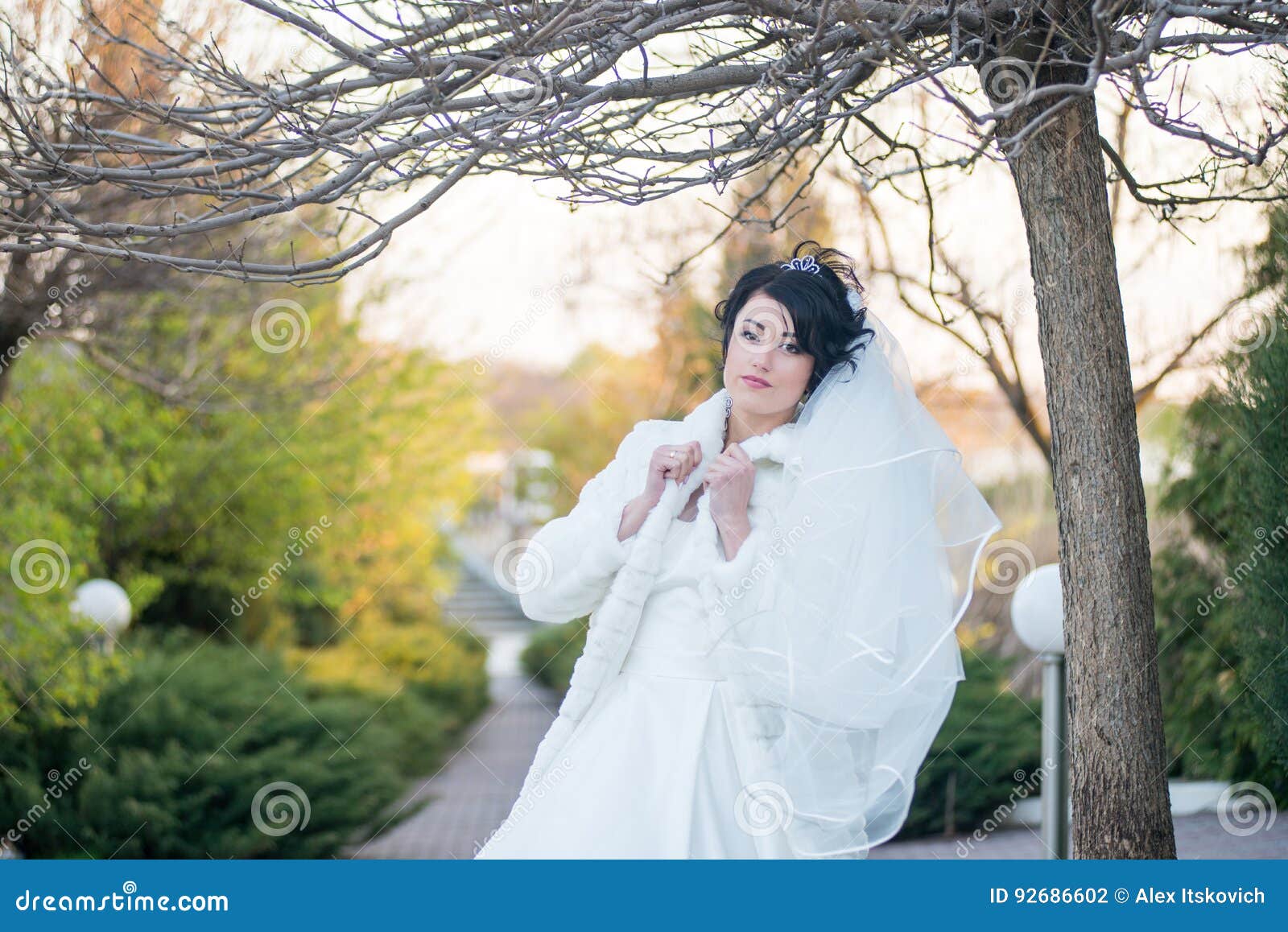 Beautiful Bride in Early Spring Under the Tree Stock Photo - Image of ...