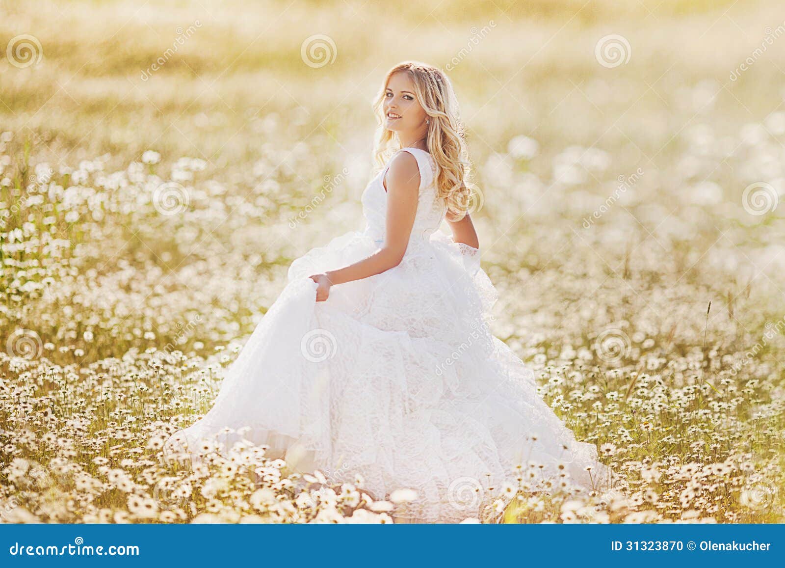 Beautiful bride in a field stock photo. Image of emotion - 31323870