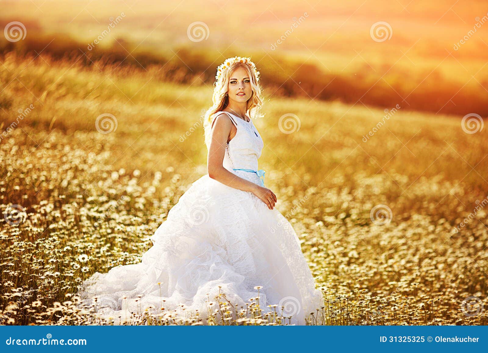 Beautiful bride in a field stock image. Image of curly - 31325325