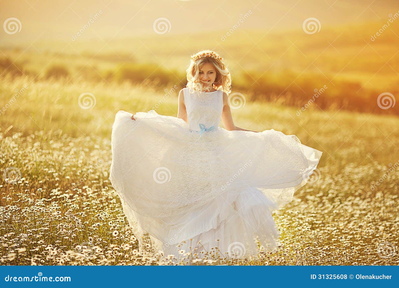 Beautiful bride in a field stock photo. Image of grass - 31325608