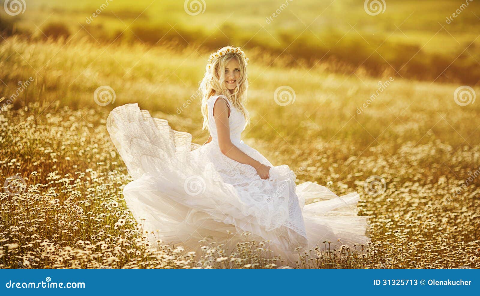 Beautiful bride in a field stock image. Image of healthy - 31325713