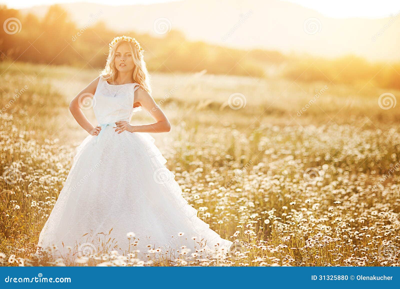 Beautiful bride in a field stock photo. Image of healthy - 31325880