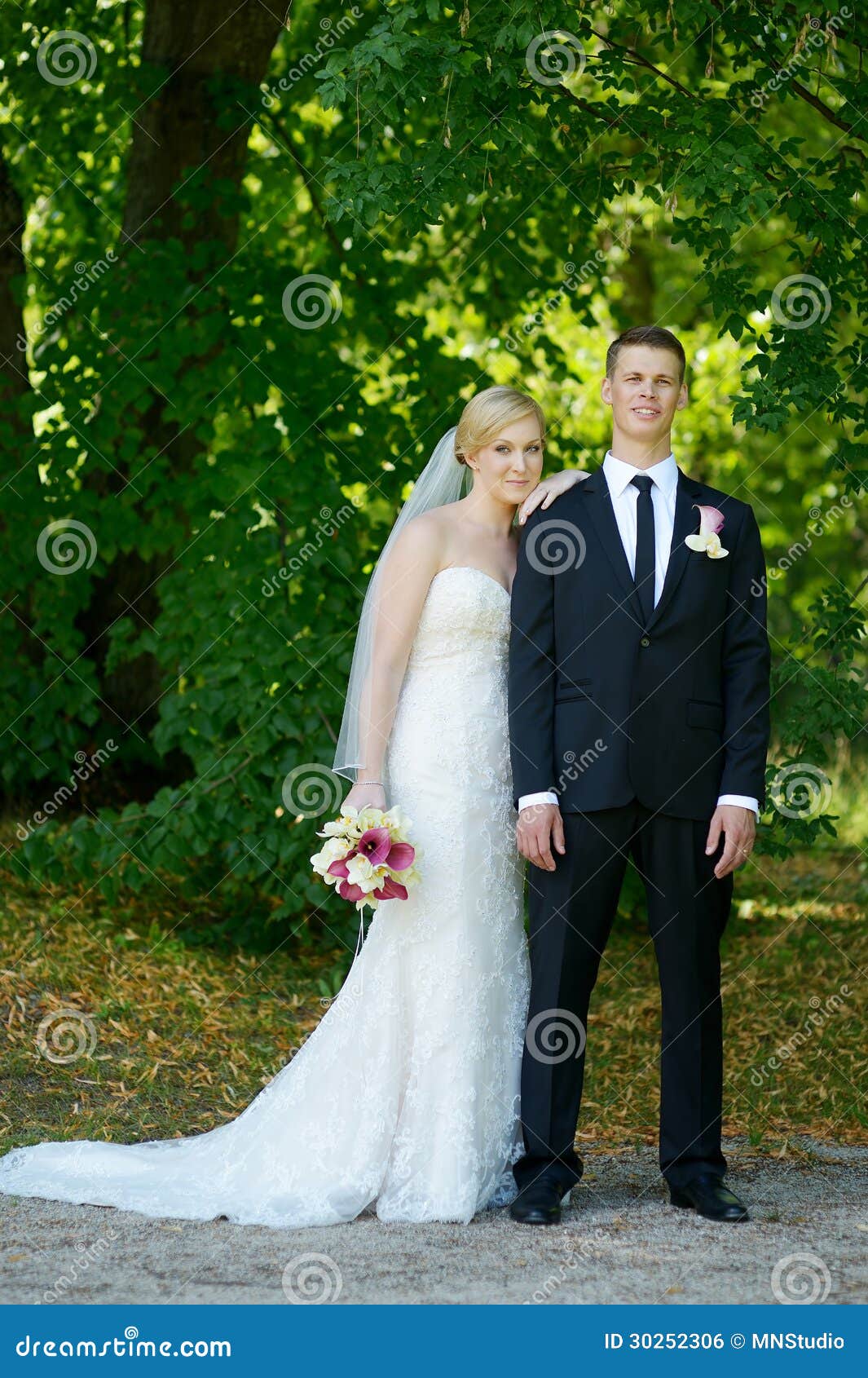 Beautiful bride and groom stock photo. Image of portrait - 30252306